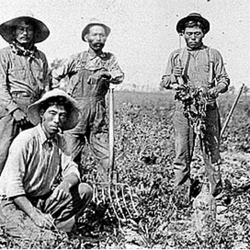 Timeline of Latino Farmer Movements in the U.S. – Latino Outdoors